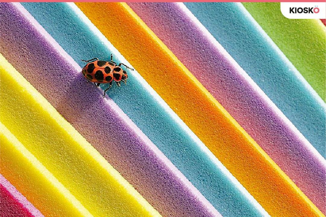 Fotografía: domina el arte del color 🌈 Kiosko